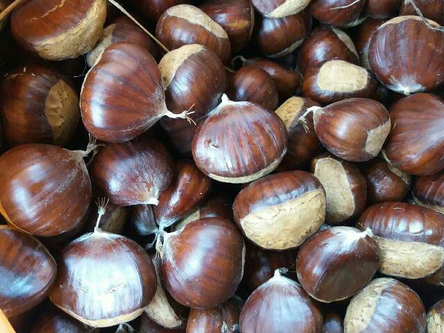 Recettes végétariennes de Châtaigne de chezcachou.com