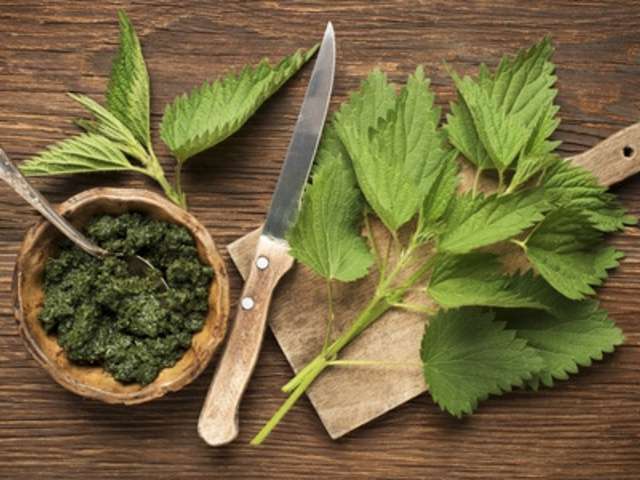 Recettes végétariennes d'Orties de la cuisine de beauregard